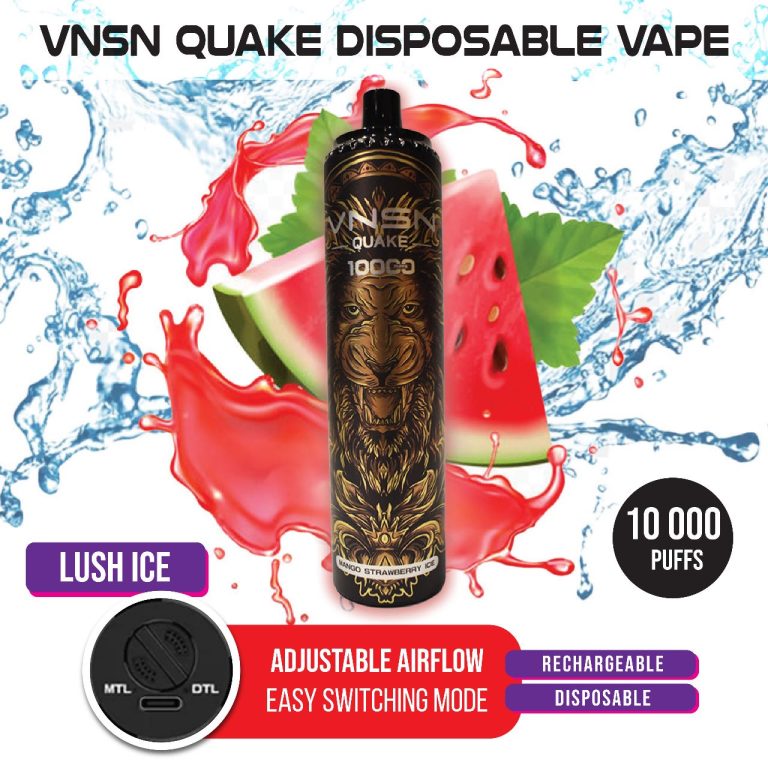 VNSN Quake 10000 - Grape Ice Vape